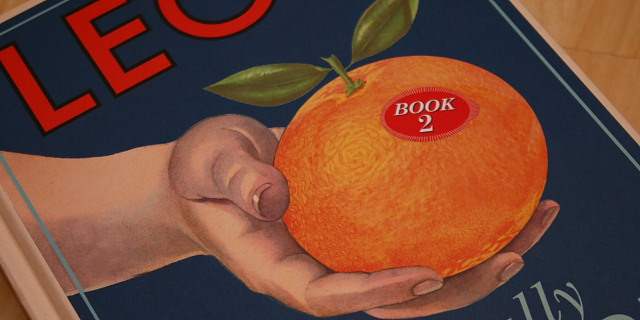 Leon’s second cookbook Leon:Naturally Fast Food